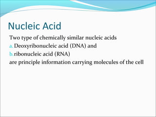 Nucleic acid | PPT