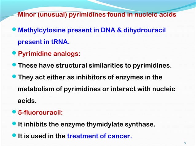 Nucleic acid | PPT