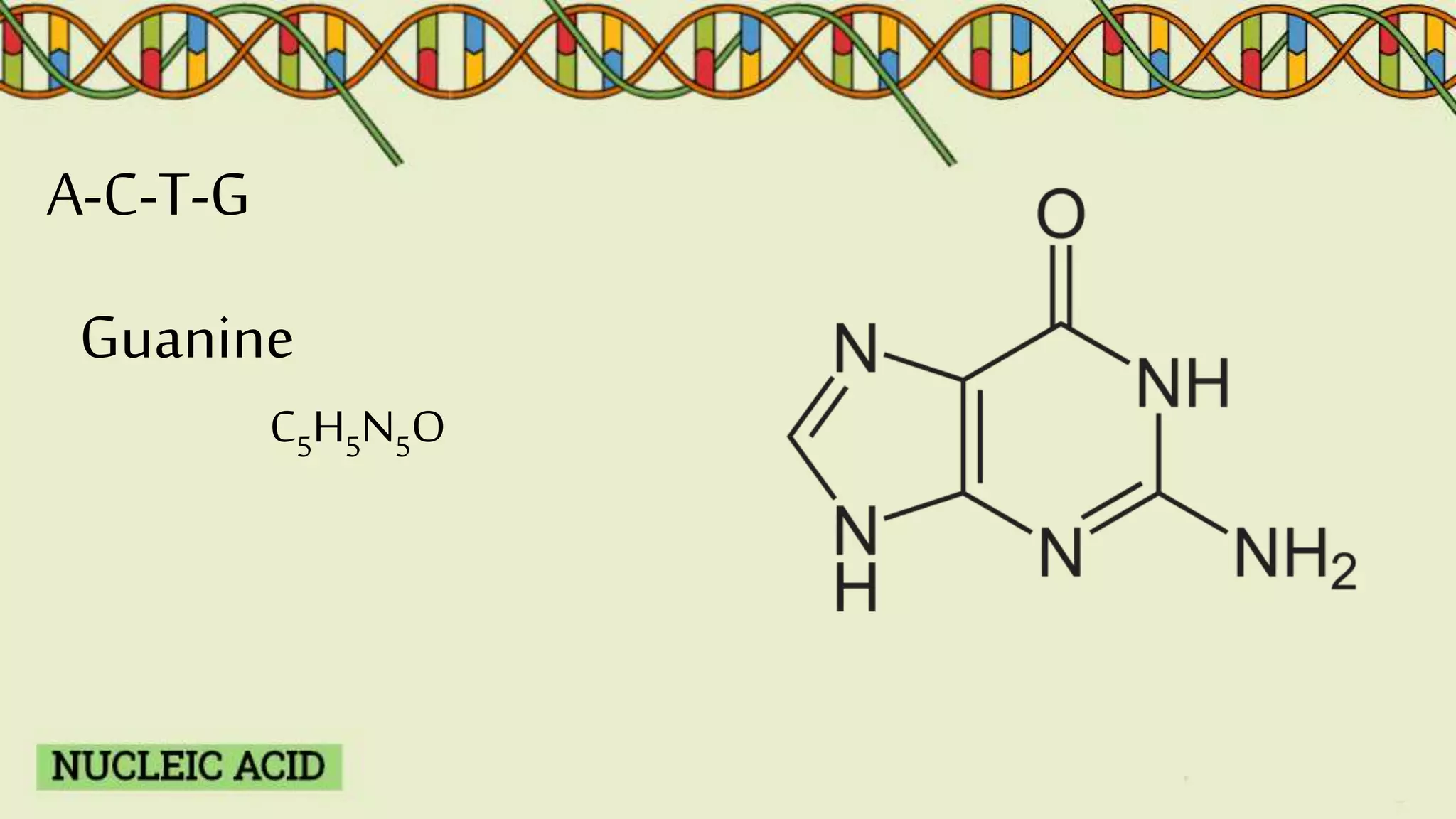 Nucleic acid | PPT