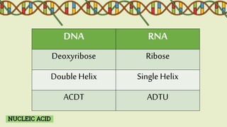 Nucleic acid | PPT