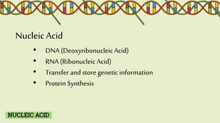 Nucleic acid | PPT
