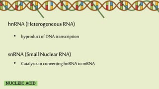 Nucleic acid | PPTX