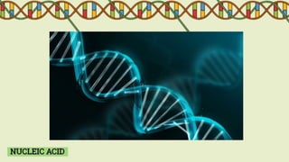 Nucleic acid | PPT