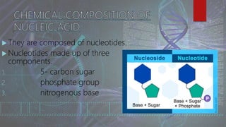 Nucleic acid | PPT