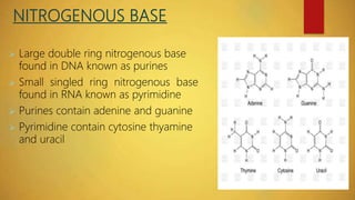 Nucleic acid | PPT