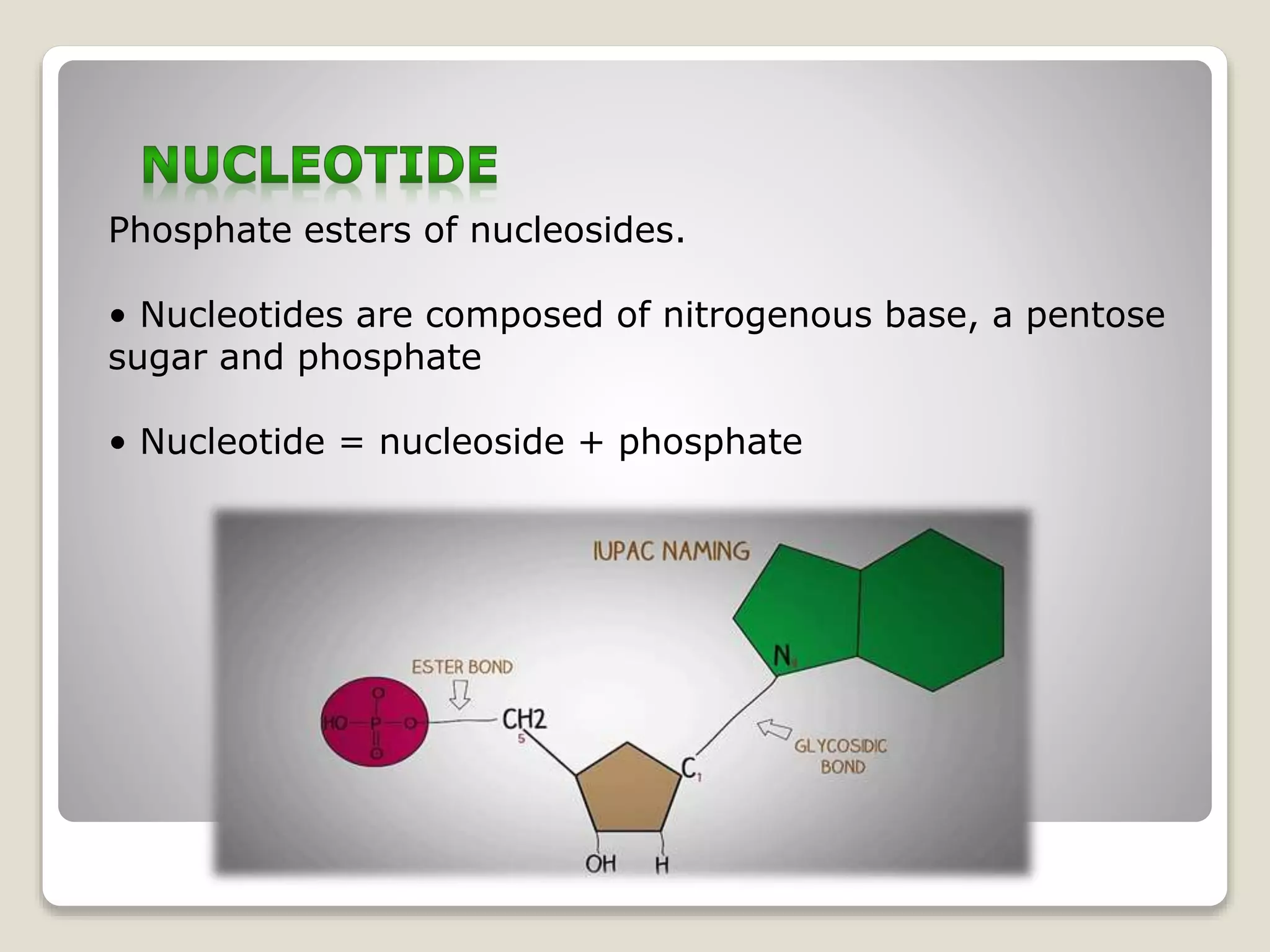 Nucleic acid and its simple structure | PPTX