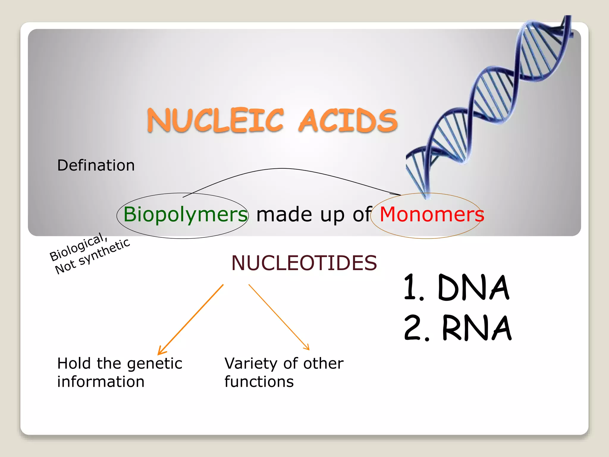Nucleic acid and its simple structure | PPTX