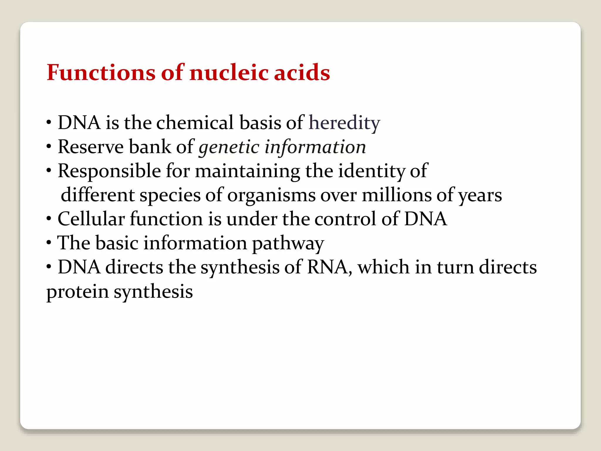Nucleic acid and its simple structure | PPTX