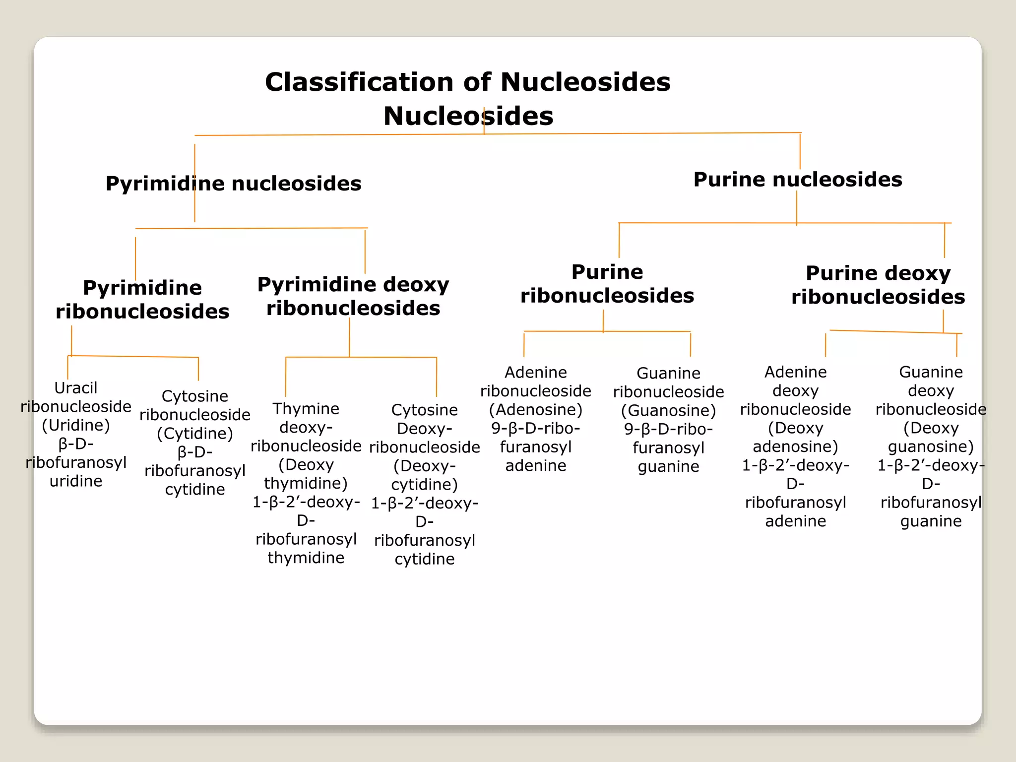 Nucleic acid and its simple structure | PPTX