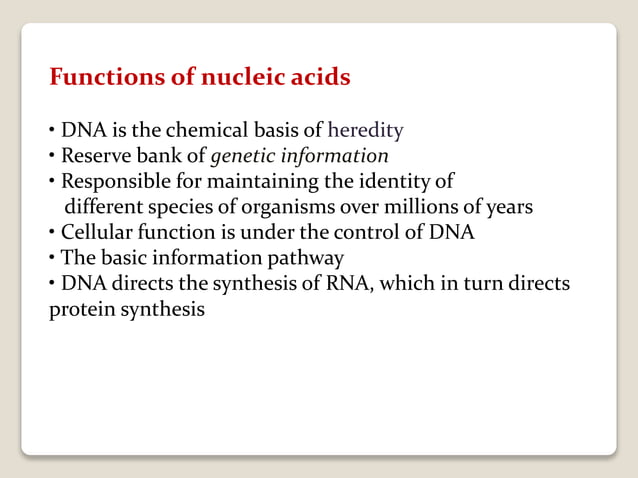 Nucleic acid and its simple structure | PPT