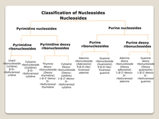 Nucleic acid and its simple structure | PPTX