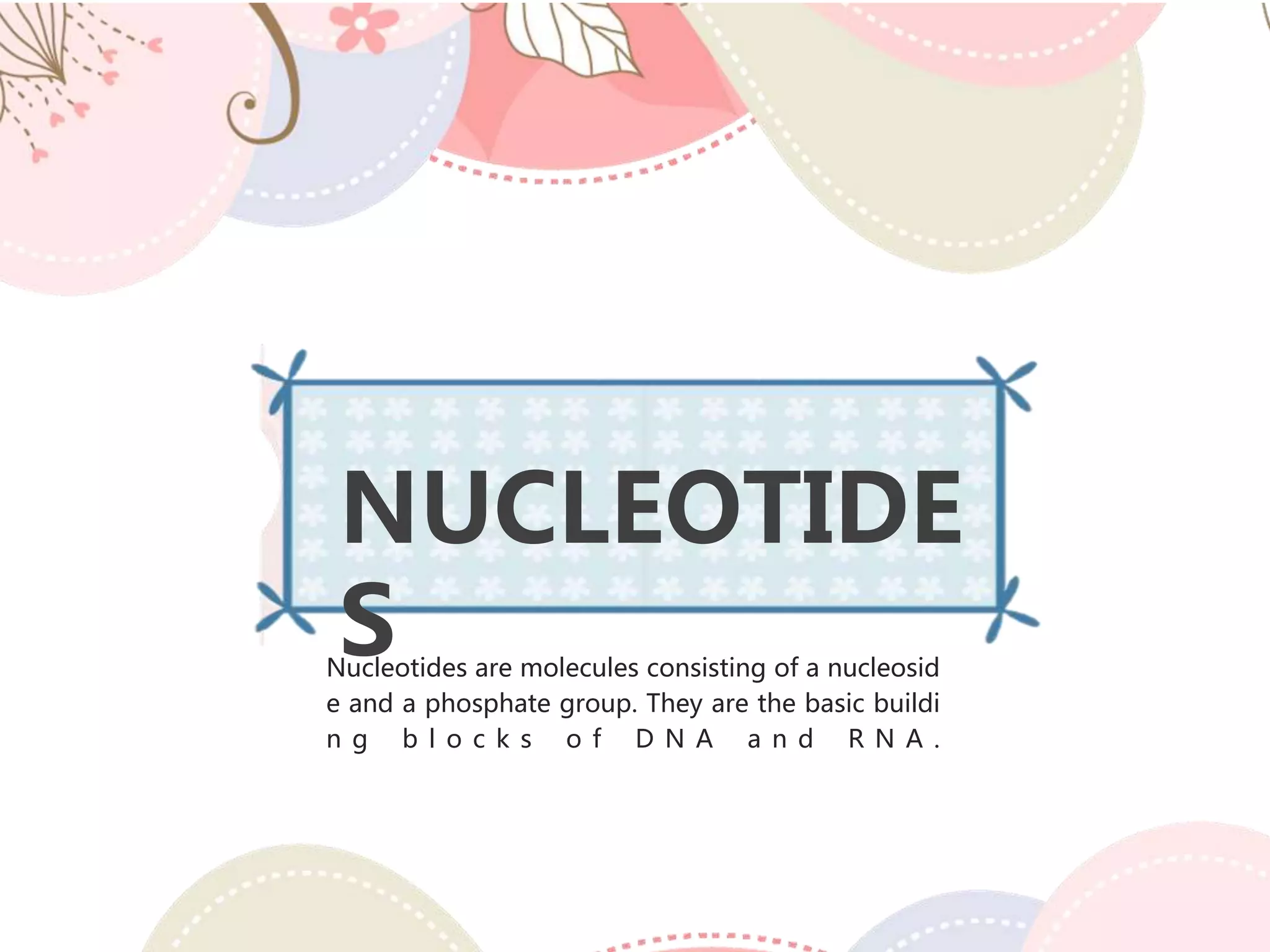 Nucleic acid | PPT