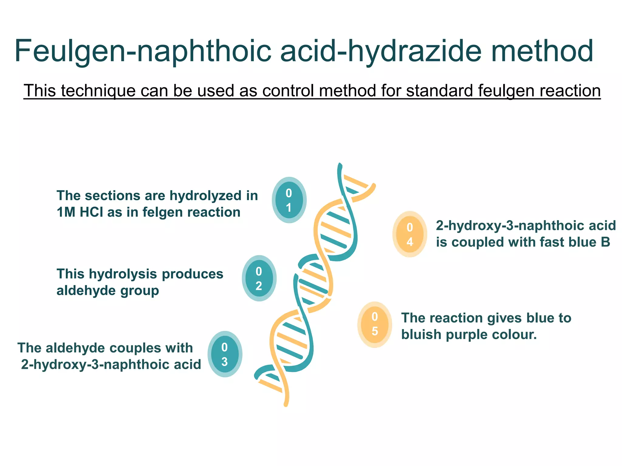 Nucleic acids (DNA+RNA) demonstration in histopathology | PPTX