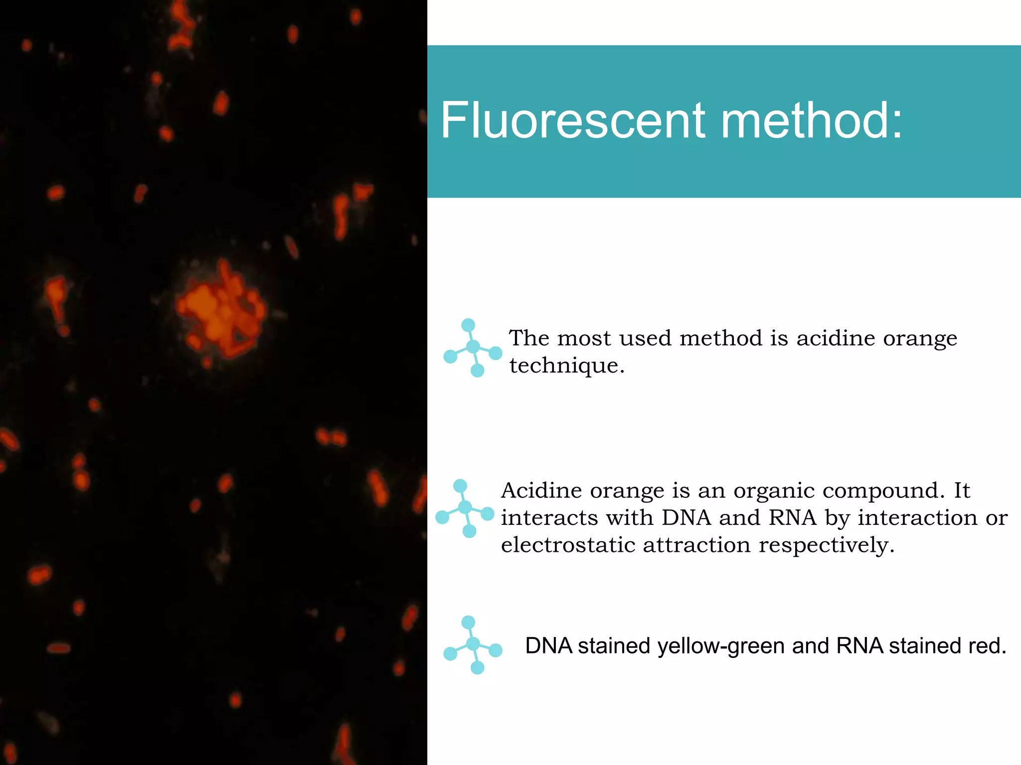 Nucleic acids (DNA+RNA) demonstration in histopathology | PPTX