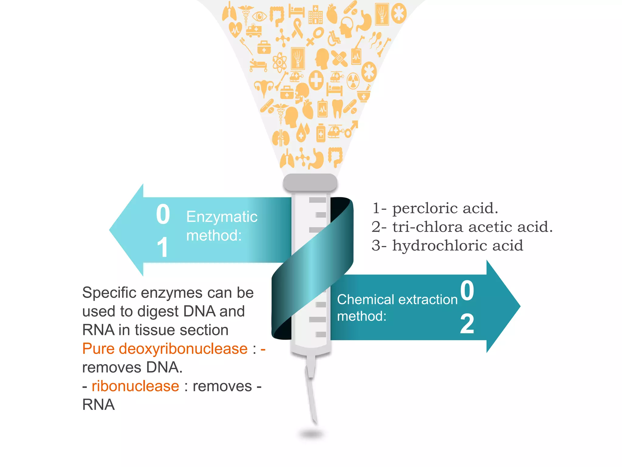 Nucleic acids (DNA+RNA) demonstration in histopathology | PPTX