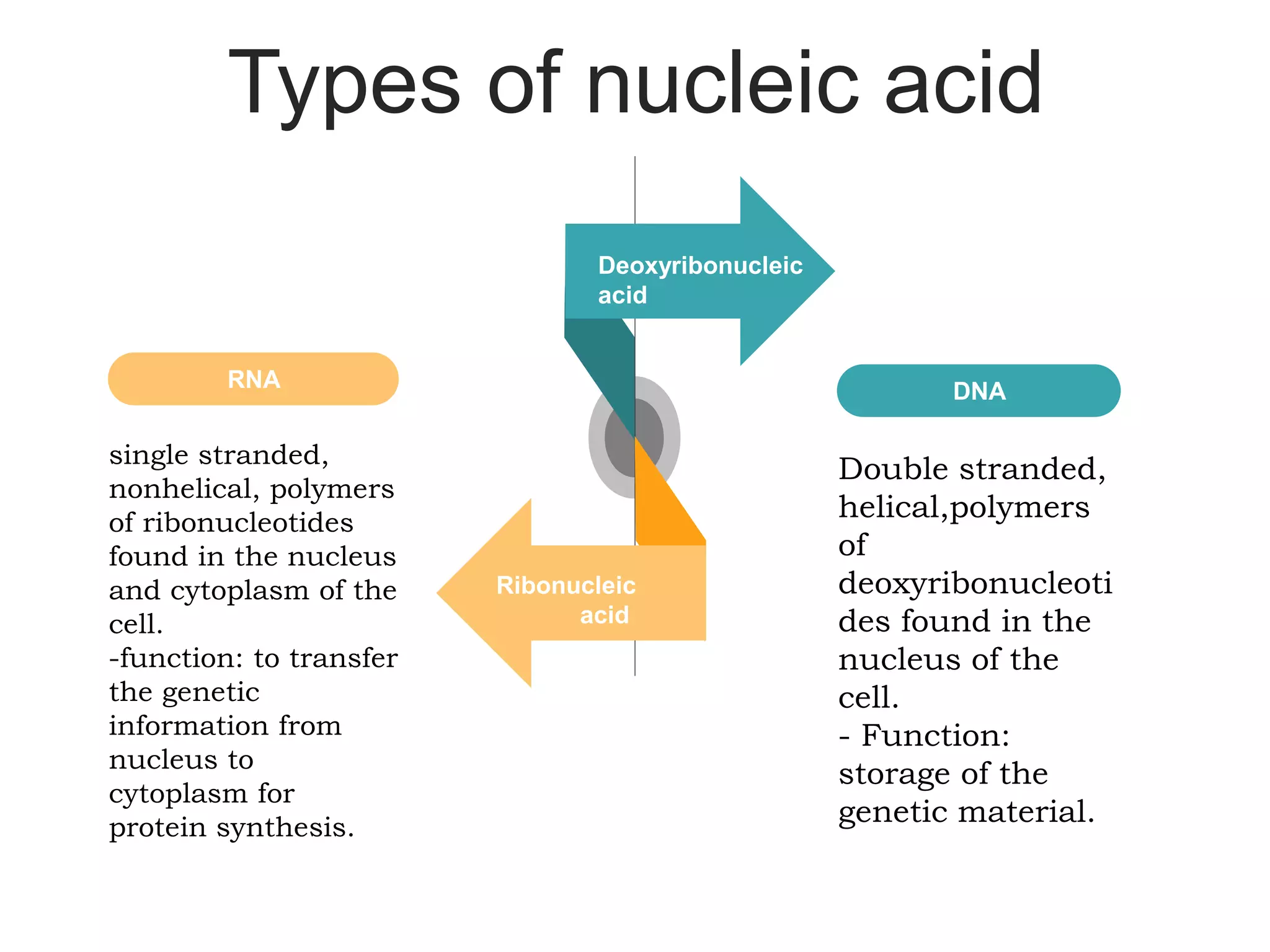 Nucleic acids (DNA+RNA) demonstration in histopathology | PPTX