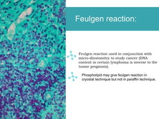 Nucleic acids (DNA+RNA) demonstration in histopathology | PPTX
