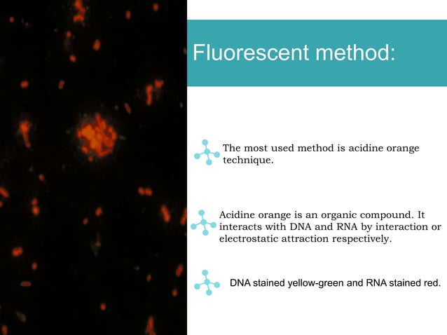 Nucleic acids (DNA+RNA) demonstration in histopathology | PPTX
