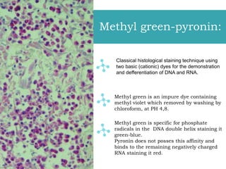 Nucleic acids (DNA+RNA) demonstration in histopathology | PPTX