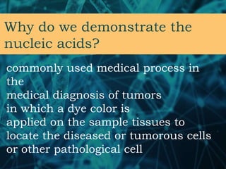 Nucleic acids (DNA+RNA) demonstration in histopathology | PPTX