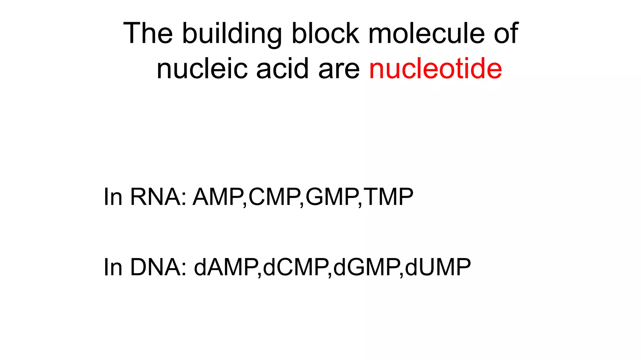 Nucleic acid | PPTX
