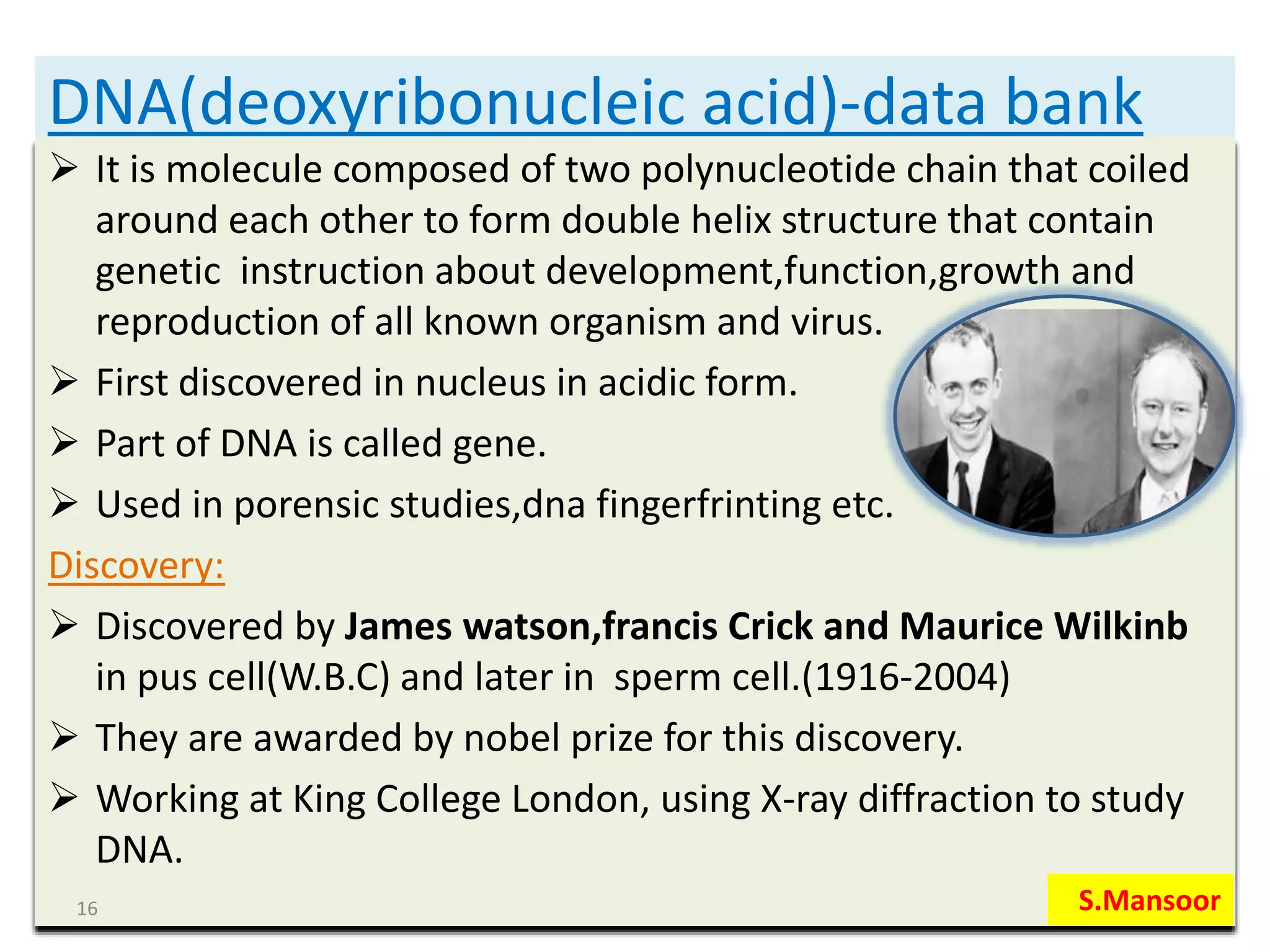 Nucleic acid | PPT