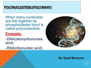 Nucleic acid | PPT