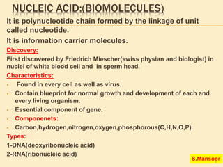 Nucleic acid | PPT