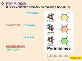 Nucleic acid | PPT