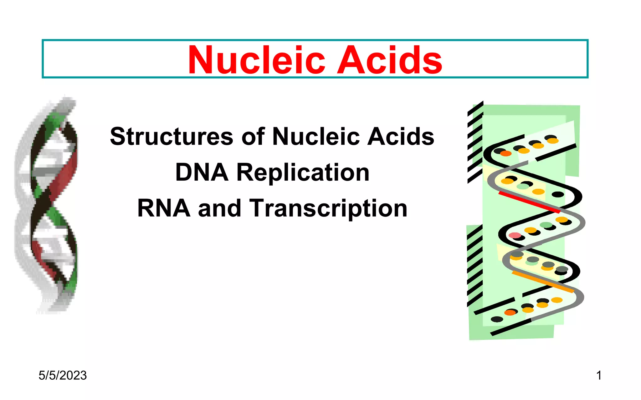 Nucleic Acid.pptx