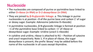 Nucleic acid.pptx