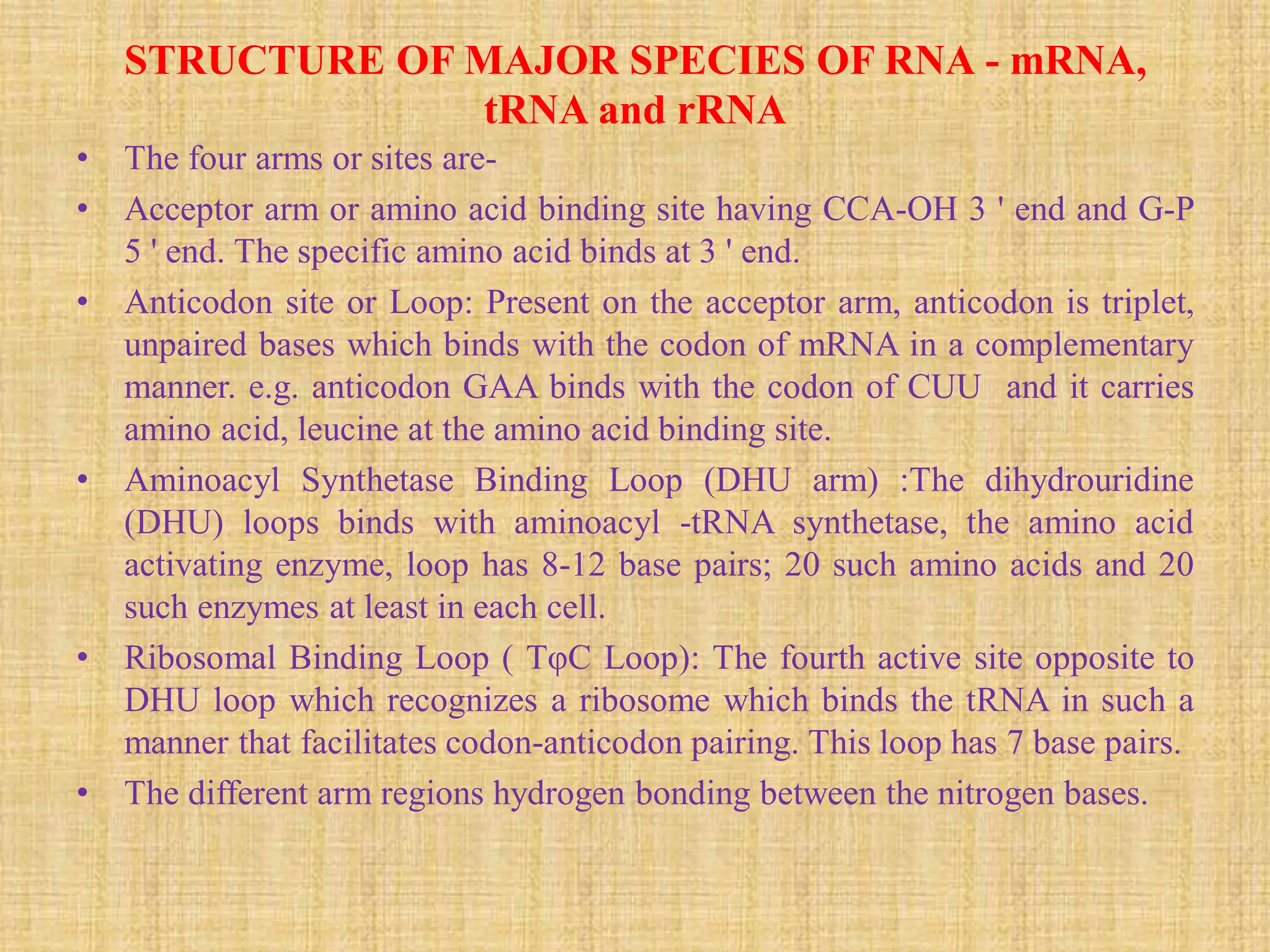 Nucleic Acid-its structural and functional complexity. | PDF