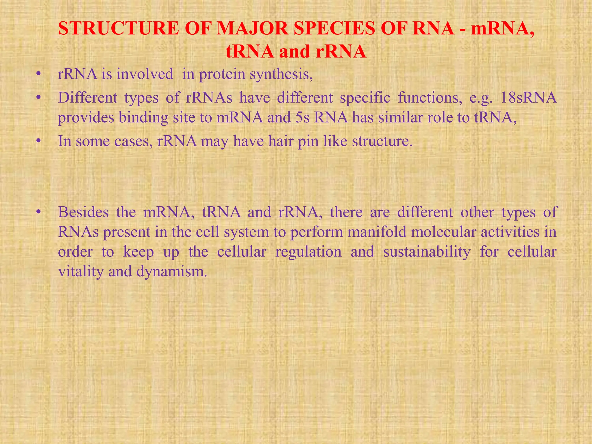 Nucleic Acid Its Structural And Functional Complexity Ppt