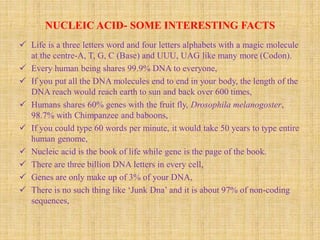 Nucleic Acid-its structural and functional complexity. | PDF