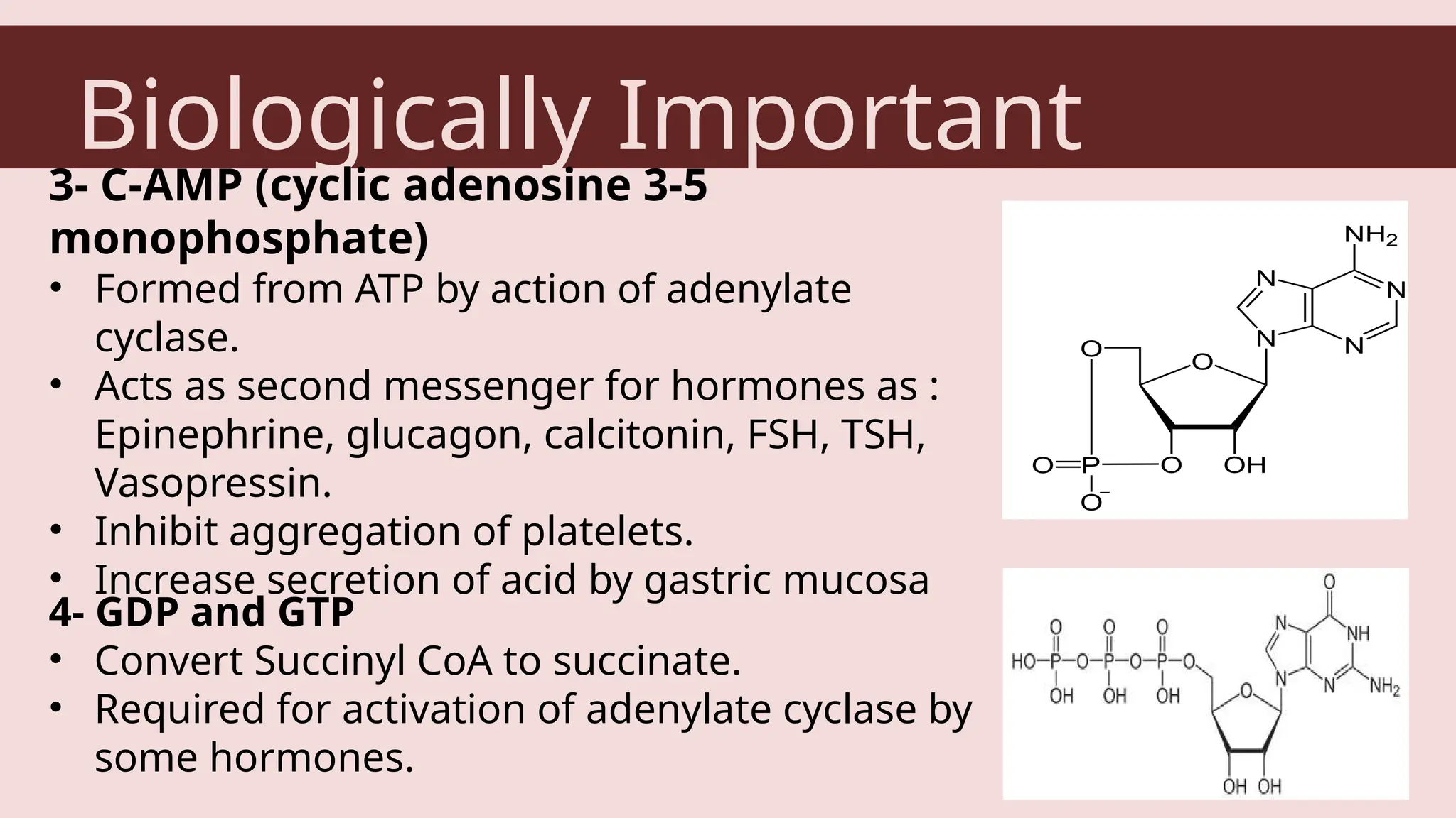 Nucleic Acid , its chemistry, functions and pharmaceutical importance.pptx