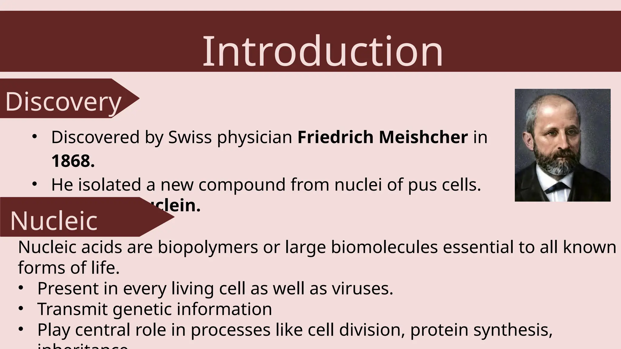 Nucleic Acid , its chemistry, functions and pharmaceutical importance.pptx