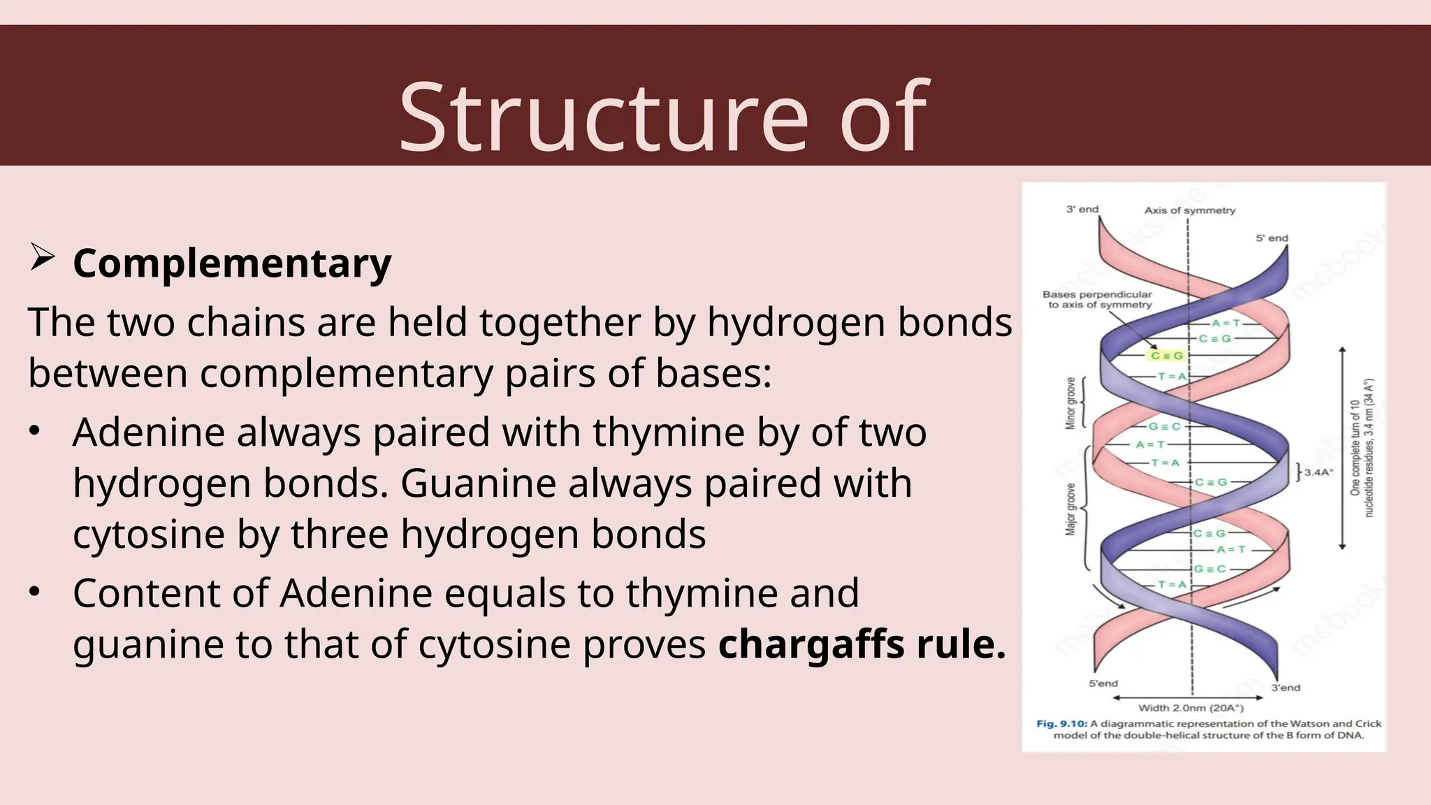 Nucleic Acid , its chemistry, functions and pharmaceutical importance.pptx