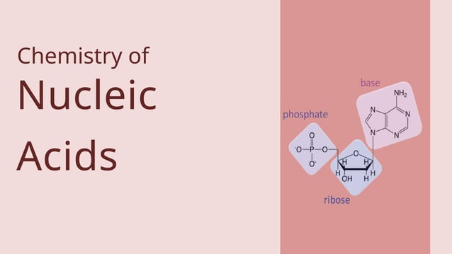 Nucleic Acid , its chemistry, functions and pharmaceutical importance.pptx