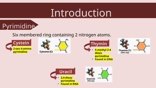 Nucleic Acid , its chemistry, functions and pharmaceutical importance.pptx