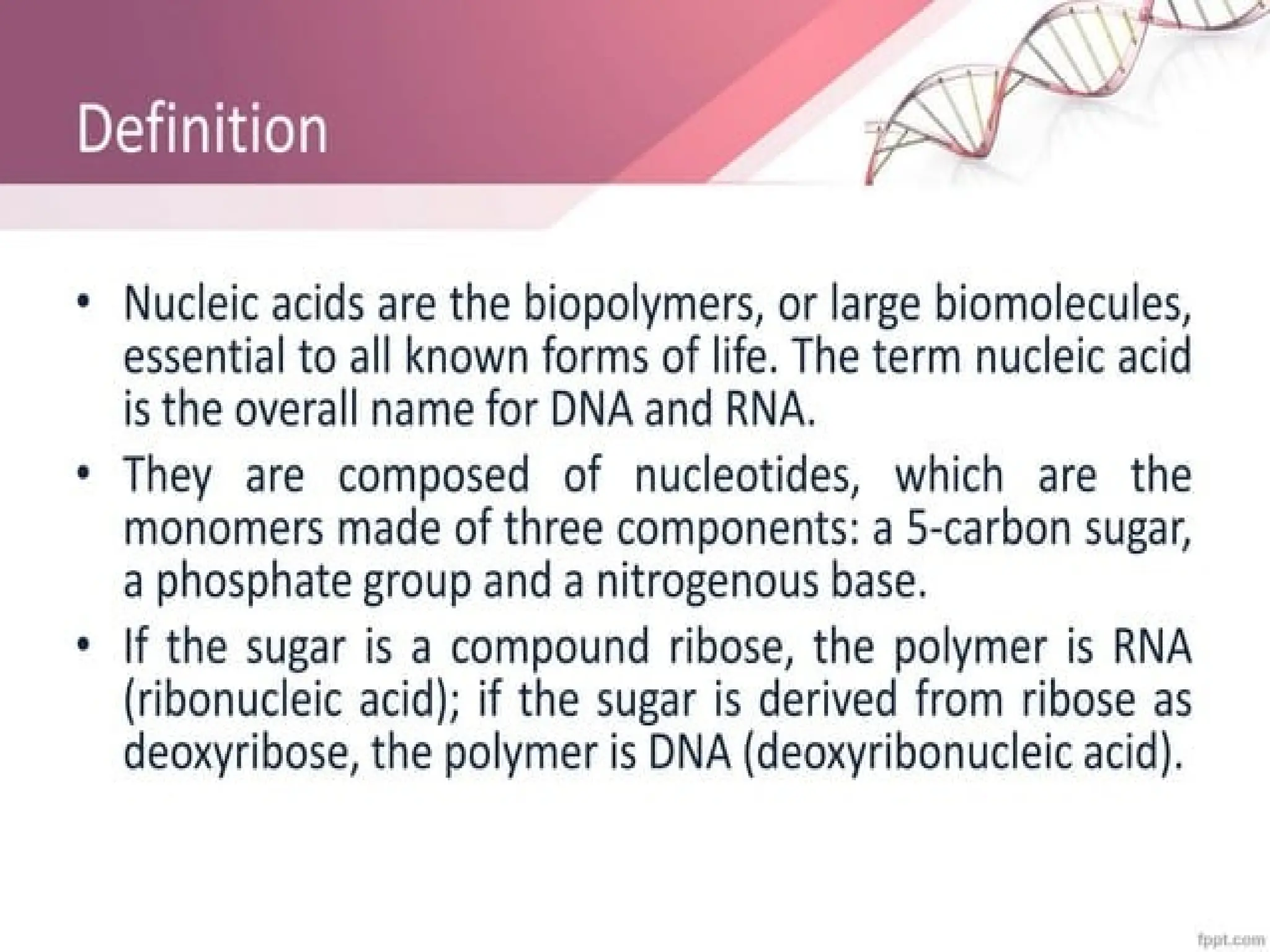 Nucleic acid Structures and functions and role | PPTX