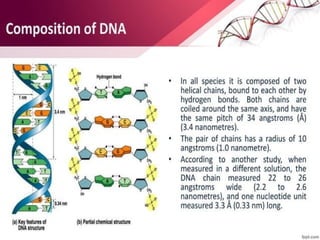 Nucleic acid Structures and functions and role | PPTX