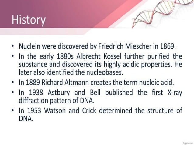 Nucleic acid Structures and functions and role | PPTX