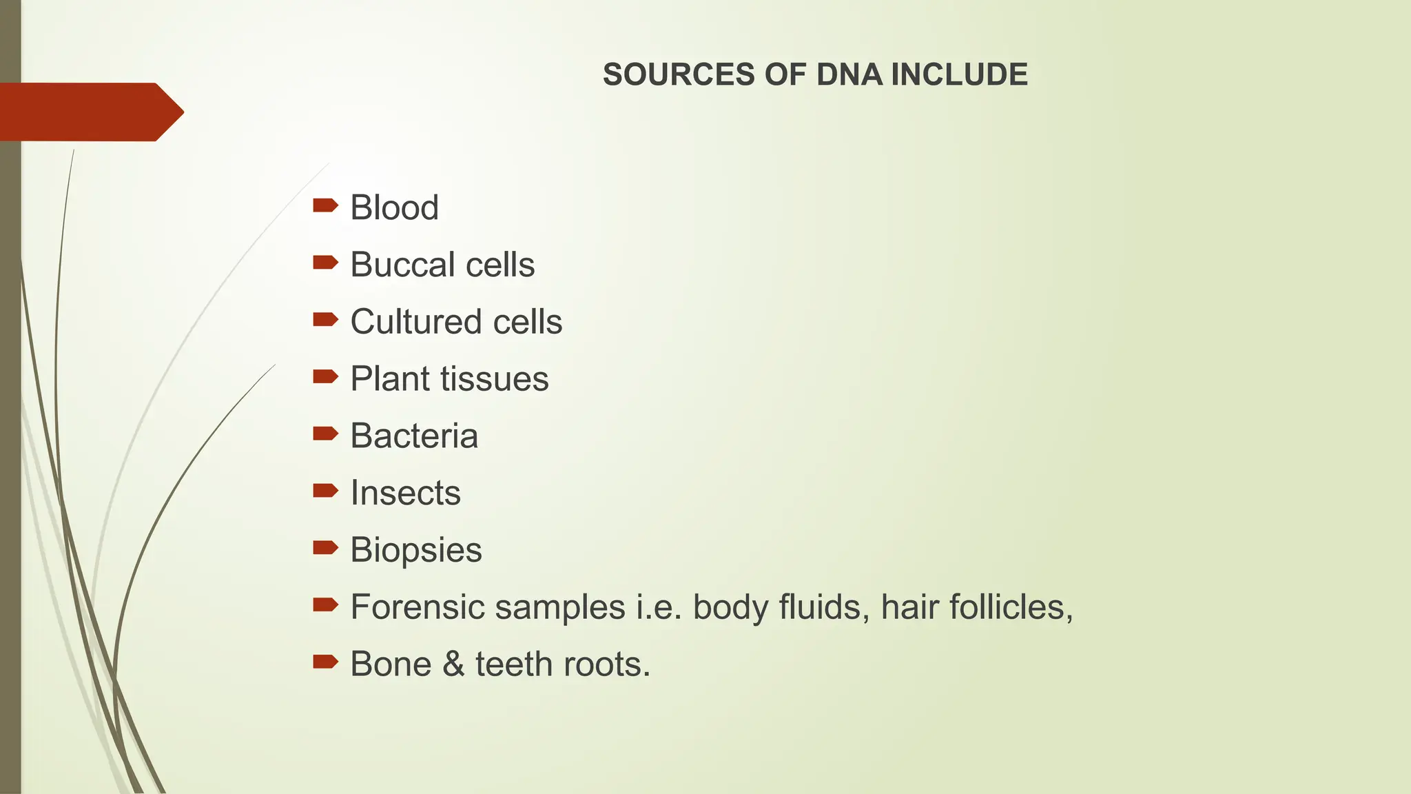Procedure for Extraction of DNA from Plant Sample | PPTX