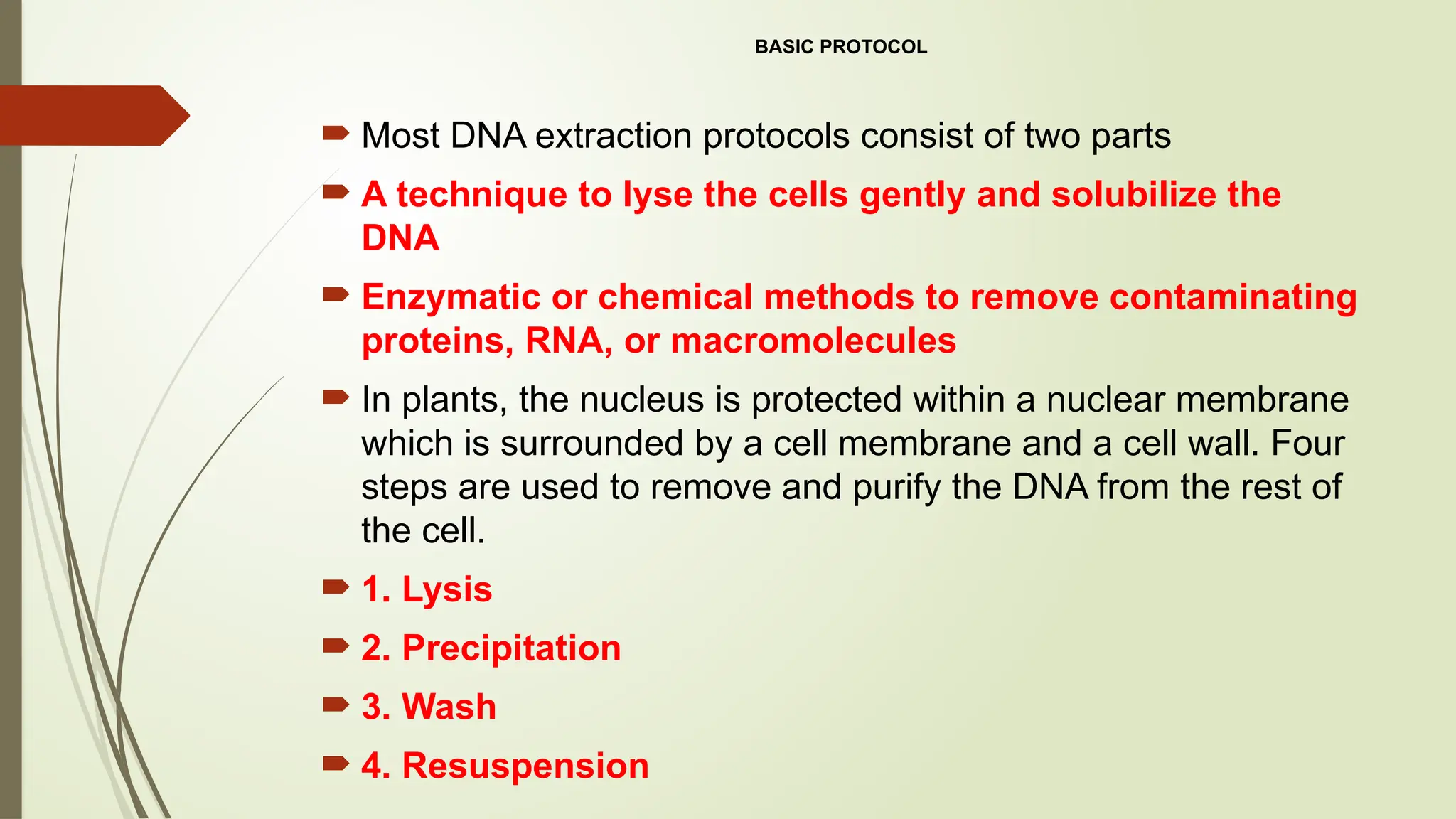 Procedure for Extraction of DNA from Plant Sample | PPTX