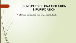 Procedure for Extraction of DNA from Plant Sample | PPTX