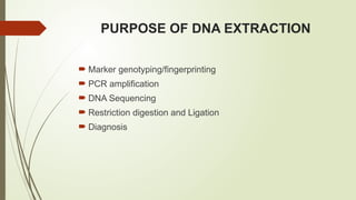Procedure for Extraction of DNA from Plant Sample | PPTX