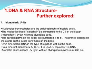 Nucleic acid (Advance) | PPTX