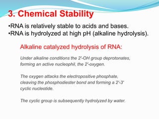 Nucleic acid (Advance) | PPT
