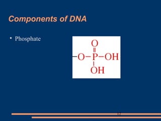 NUCLEIC ACID-DNA STRUCTURE AND Central dogma of molecular biology.pptx