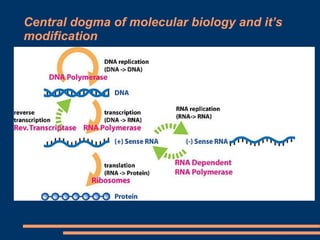 NUCLEIC ACID-DNA STRUCTURE AND Central dogma of molecular biology.pptx